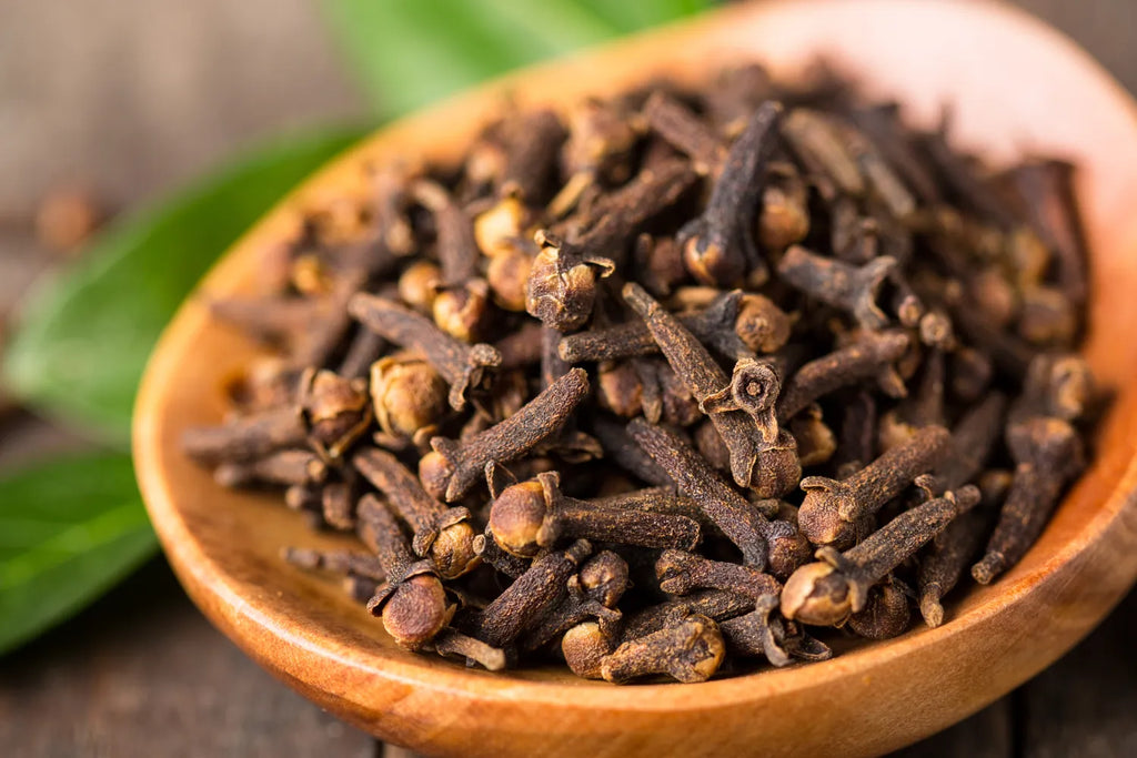 Find Your Scent: What Does Clove Smell Like? | Snif