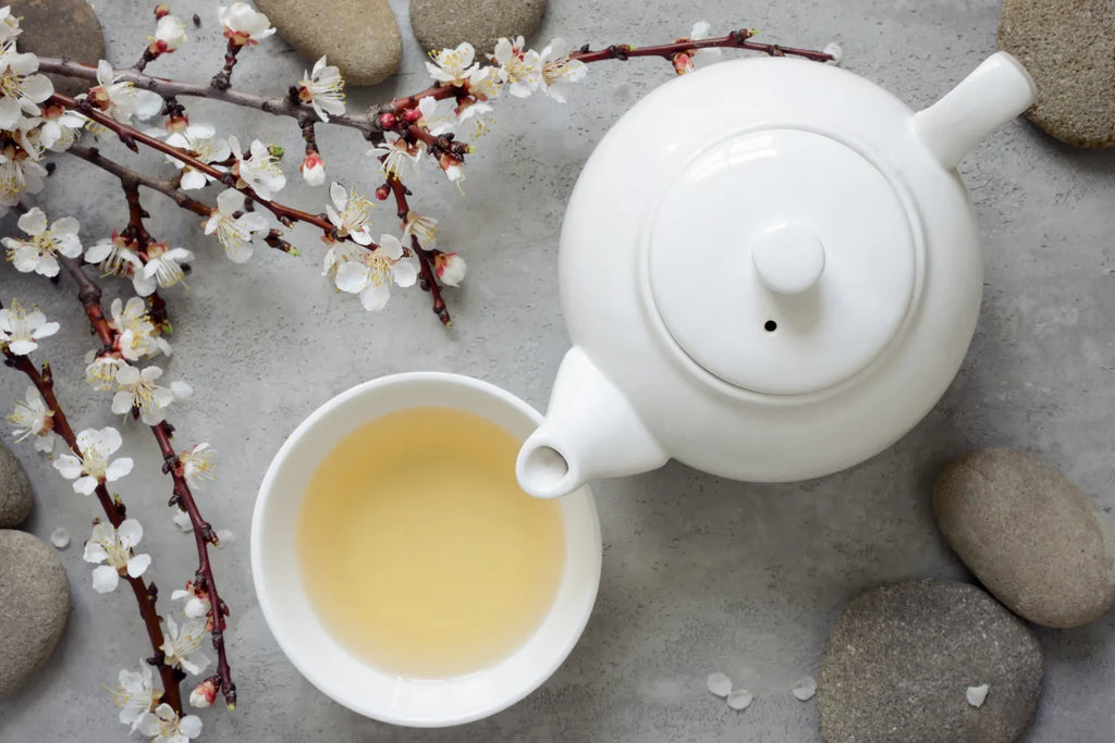 Find Your Scent: What Does White Tea Smell Like? | Snif