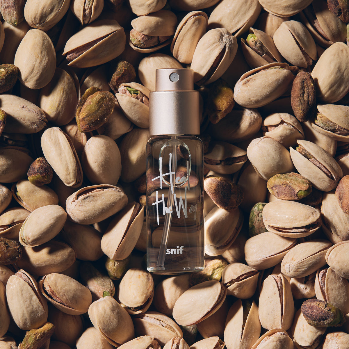 Heal The Way | Alex Elle Pistachio Fragrance | Snif