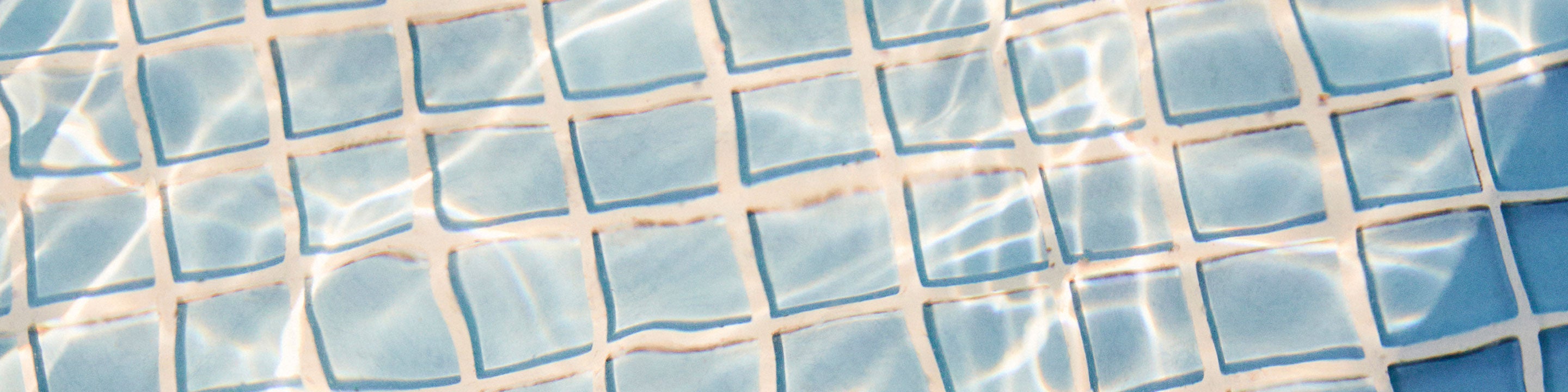 Coco Shimmy | Coconut Tropical Fragrance | Snif