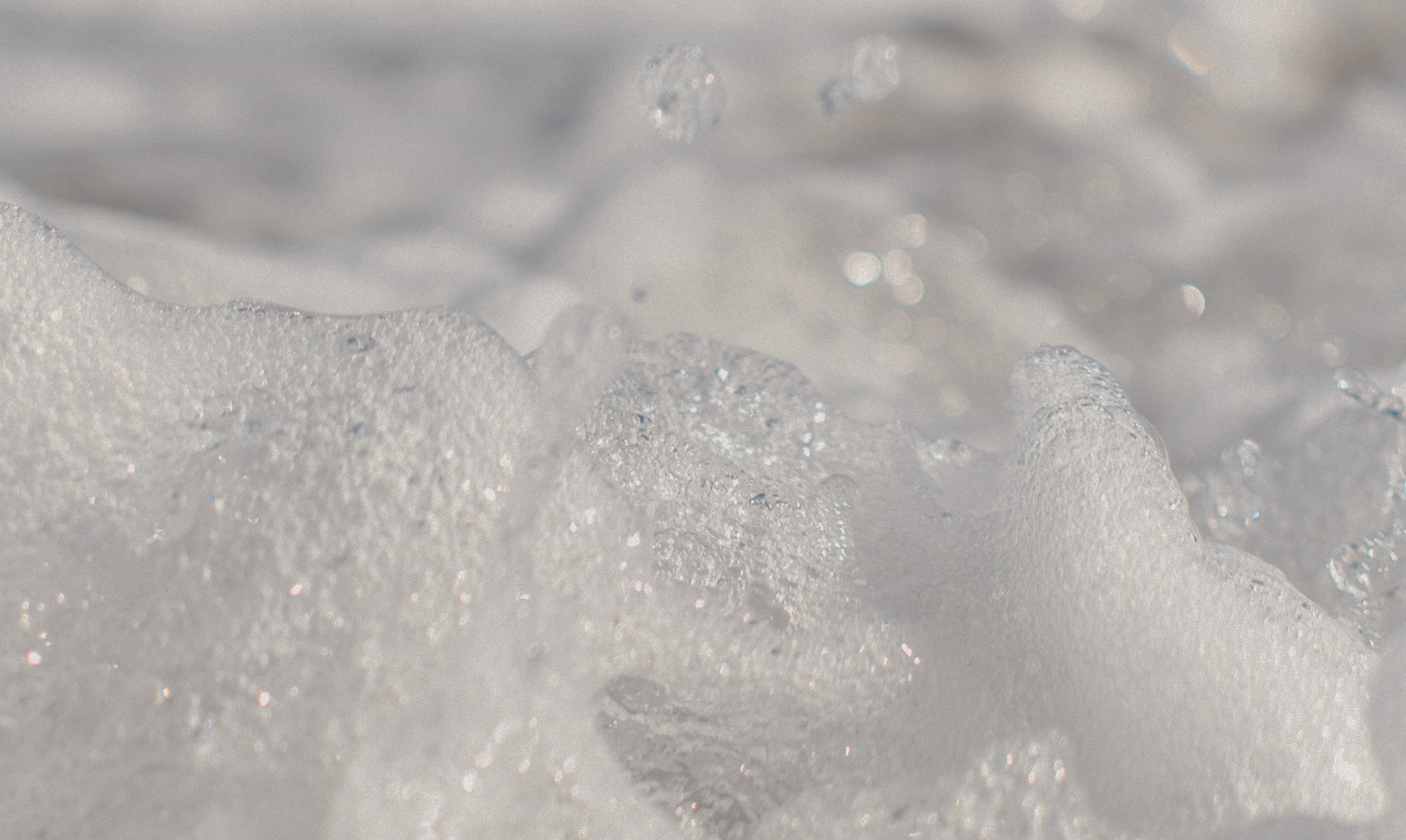 LG Waitlist - Laundry – Snif