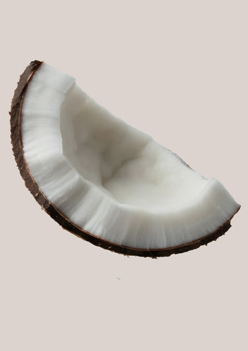 Coco Shimmy | Coconut Perfume – Snif