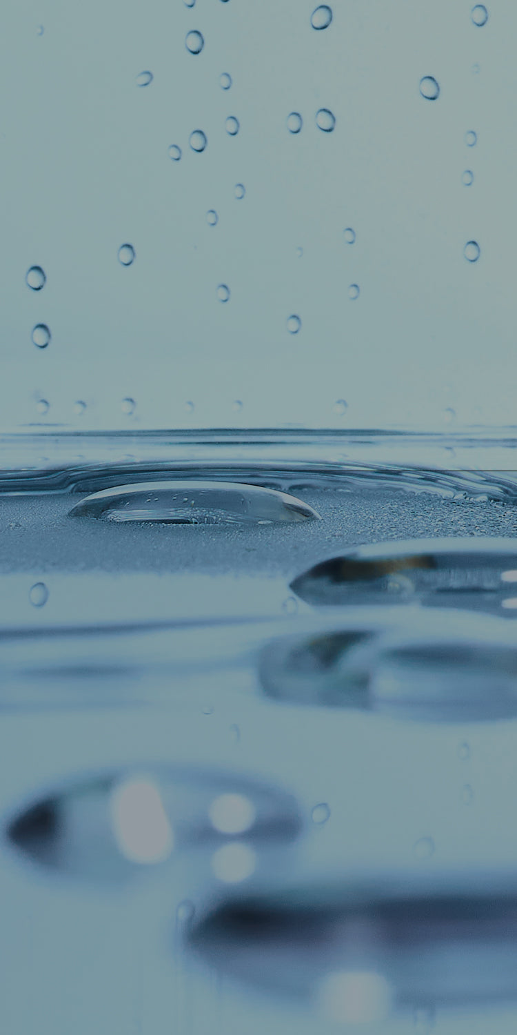 Rain Check | Scented Laundry Detergent | Snif